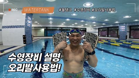 네이버 인플루언서