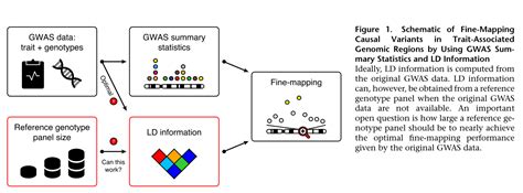 Finemap教程 Csdn博客