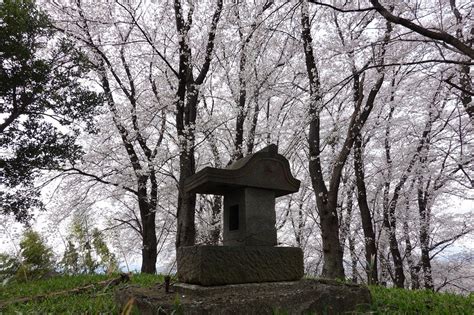 桜の名所正円寺古墳群馬県前橋市堀之下町 信仰心に触れる