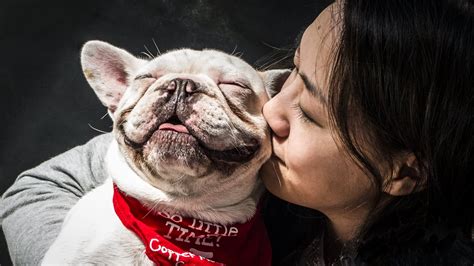 How Do Dogs Relieve Stress