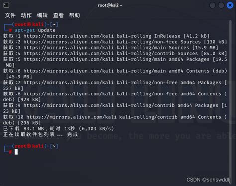 【2025最新】kali Linux安装教程（超详细），看这一篇就够了！ Csdn博客