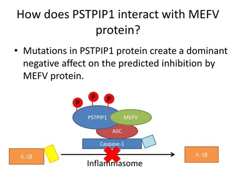 Ppt Fibromyalgia And Mefv Powerpoint Presentation Free Download Id 2277485