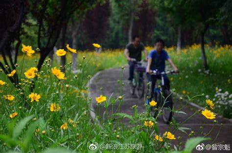 阳澄湖东部慢行系统踏上一段轻旅行 微风