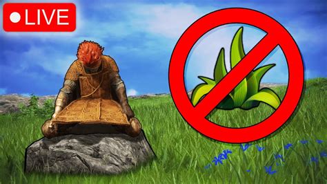 Can You Beat Elden Ring Without Touching Grass Day 1 Youtube