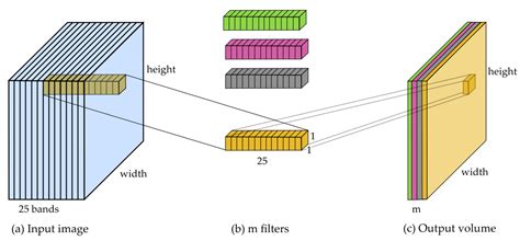 A Novel Deep Learning Method To Identify Single Tree Species In Uav Based Hyperspectral Images