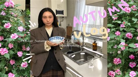 治愈生活「莫有风」秋天的生活，是由桂花，梨，蛋糕和一切甜美的东西组成的。烤桂花秋月梨磅蛋糕，首尔夜市大排档吃海鲜和烤肉 Youtube