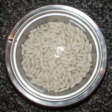 Aprendiendo De La Vida Y Las Fabes Se Hicieron ¡¡¡¡¡fabes