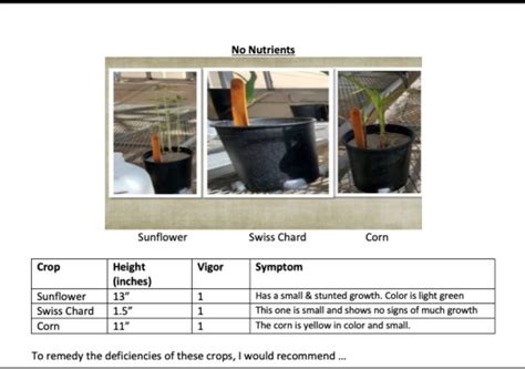Solved Hi I Am Working On A Soil Fertility Lab Need Help I Chegg