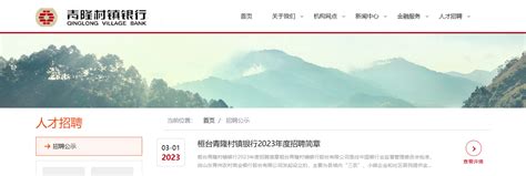 2023年度山东桓台青隆村镇银行招聘12人 报名时间3月31日17：30截止
