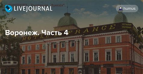 Воронеж. Часть 4: humus — LiveJournal