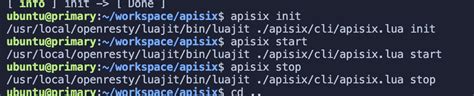 如何在 Arm Ubuntu 中构建 Apache Apisix Apache Apisix® Cloud Native Api