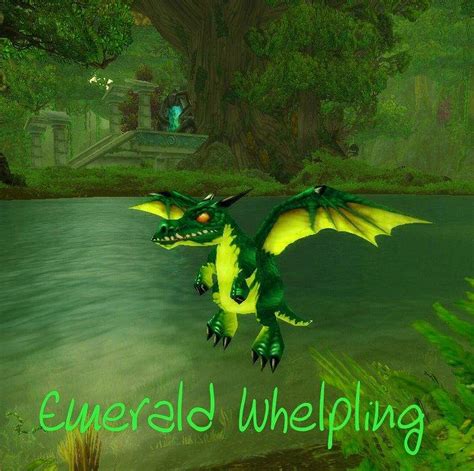 Emerald Whelpling 🐲 How To 🤗 Wow Amino