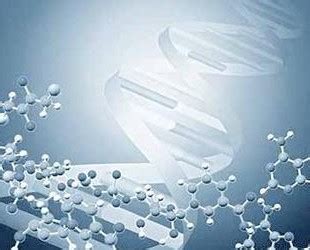 基因工程生物学术语 搜狗百科