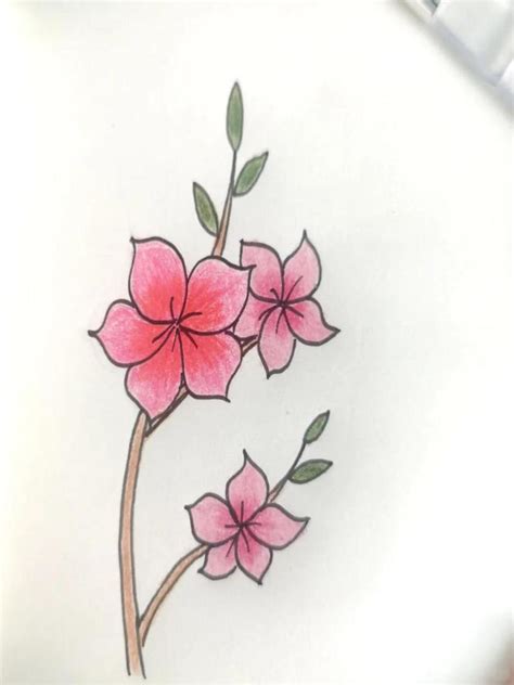 桃花的简笔画既好看又美丽简单（热门11张） 简笔画图片大全