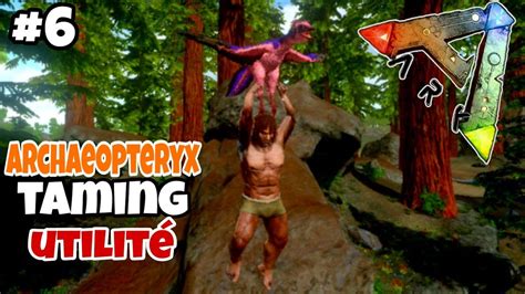 Taming Darchaeopteryx Survie Redwoode épisode 6 Ark Mobile Youtube
