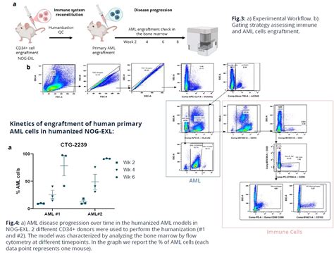 Scientific Poster Hla Matched Humanized Mouse Model For Aml Drug Testing Taconic Biosciences