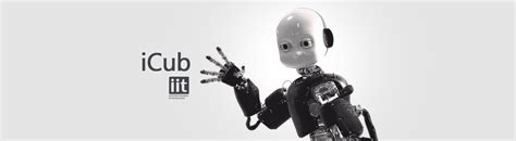 Icub 卢博机器人（上海）有限公司