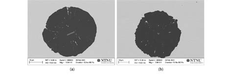 Examples Of Graphite Nodule Surface Morphologies In Alloys Containing