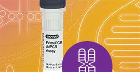 Ddpcr Microsatellite Instability Msi Assay Biotechniques