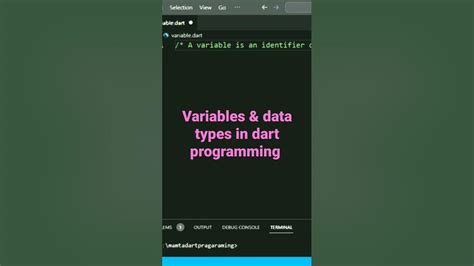 Variables Datatypes Youtuber Dart Youtube