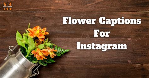 Best Flower Captions For Instagram The Maurya Sir