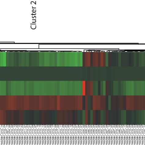 Feature Reduced Heatmap Clustered By Lesions And Features Voxel Volume