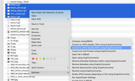 Customization Can The Services Menu Be Edited To Have Submenus By