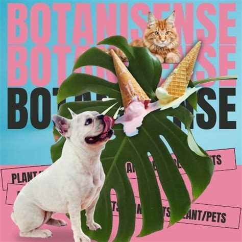 歡迎來找我們玩～