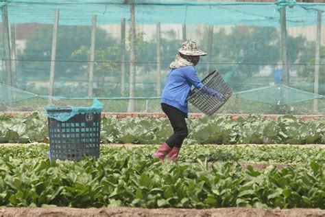 選舉到了 綠再喊老農津貼加碼 藍批：撒幣綁樁 政壇風雲錄 台灣 世界新聞網