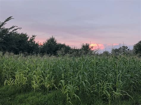 Land Access And Sharing Programs The Farm School