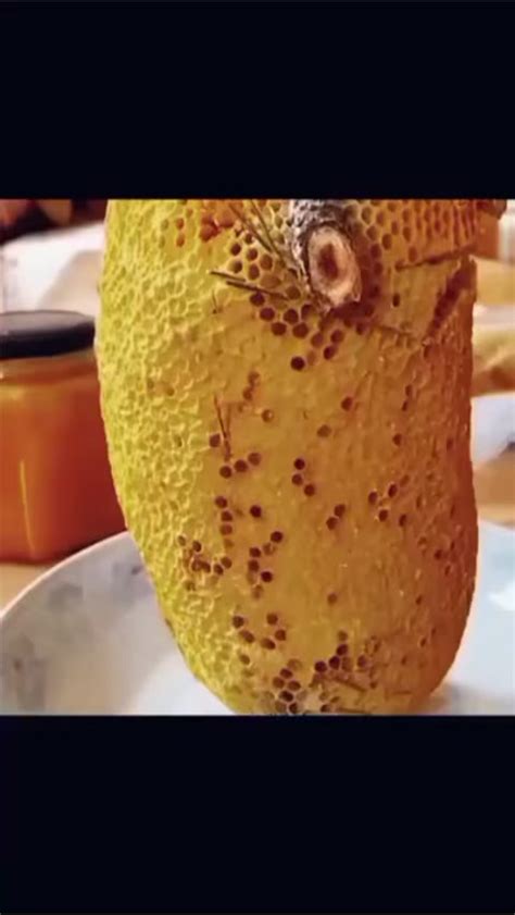 Satisfying Watching Honey Bee 😍 Marc Amedome Charlie Peacock