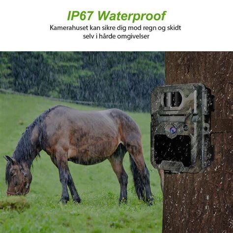 Keepguard Kw571 Vildtkamera