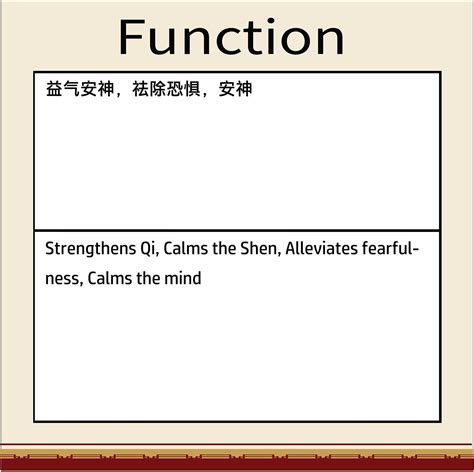 An Shen Ding Zhi Wan 安神定志丸 丸剂 Calm The Shen And Settle Etsy Uk