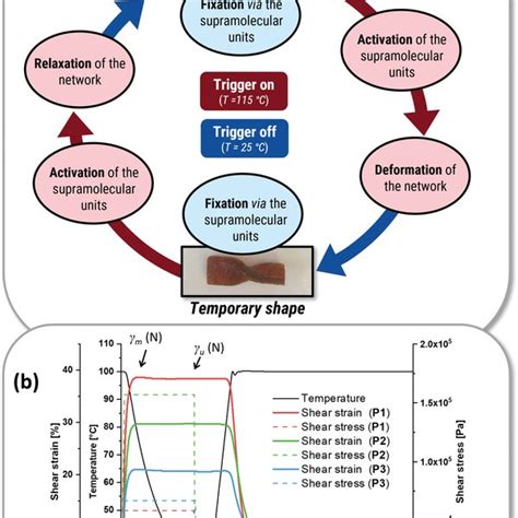 A Schematic Representation Of The Synthesis Of The Halogen Bond Based