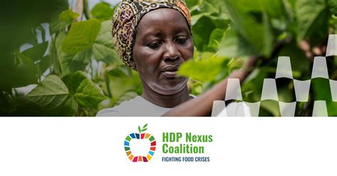 Hdp Nexus Coalition Hdp Nexus Coalition Hdp Nexus Coalition Hdp Nexus Coalition