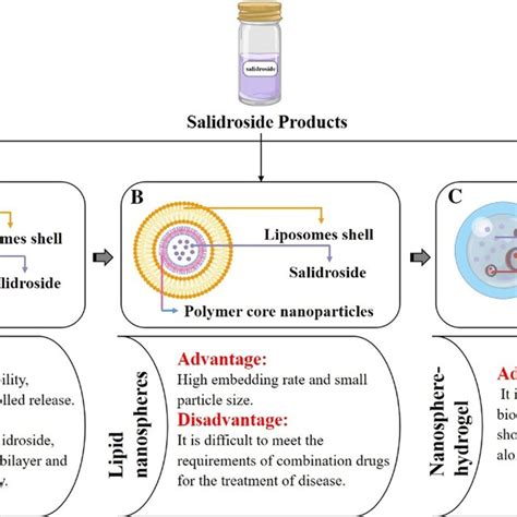 Product Development Of Salidroside Liposomes Of Salidroside A Lipid