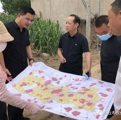 睢县农业农村局 统筹做好疫情防控 全力做好农业生产秋粮服务卡农田