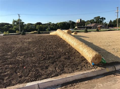 Seed Germination And Erosion Control Blanket At Danny Garza Blog