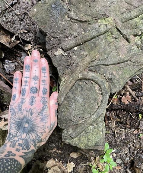 Worm Trace Fossils Rfossilid