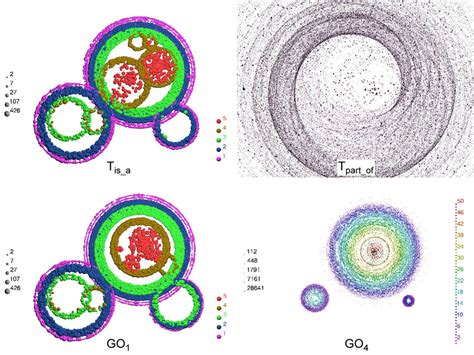 K Core Visualizations Of Go Models Download Scientific Diagram