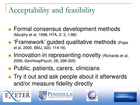 Ppt Phase 2 Feasibility And Piloting Powerpoint Presentation Free Download Id4136385