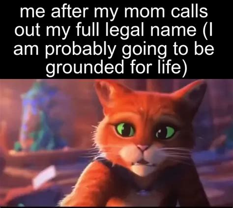 Scared Cat Meme Scared Cat By Shadowgun Meme Center