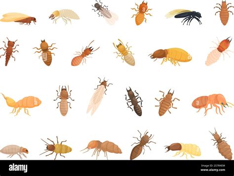 Termite Icons Set Cartoon Vector Nature Insect Soldier Pest Control