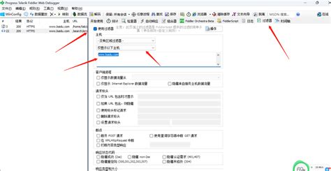 Fiddler过滤器 Csdn博客