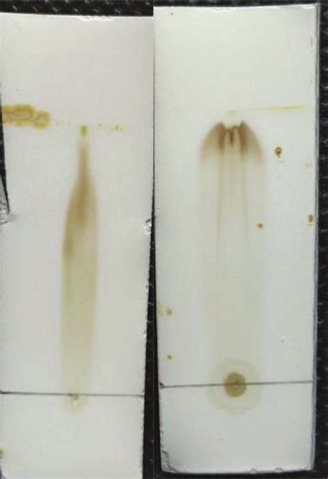 Aqueous Extract Left And Ethanolic Extract Right Download