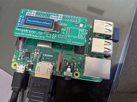 Raspberry Pi使用raspberry Pi构建感知假肢 Csdn博客