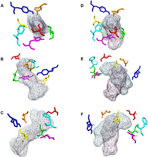 Dopamine Receptor D3 And Ligands Interactions Notes The Seven