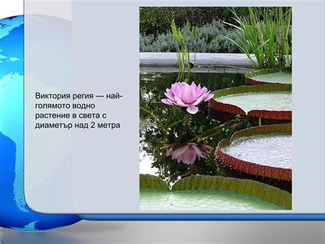 природни зони в южна америка подобрен вариант Ppt