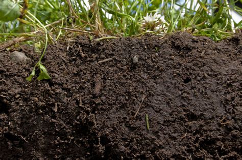 Introduction Soils
