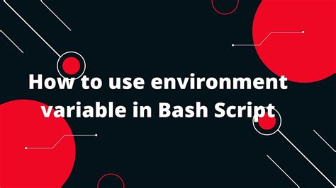 how to use environment variable in bash script youtube